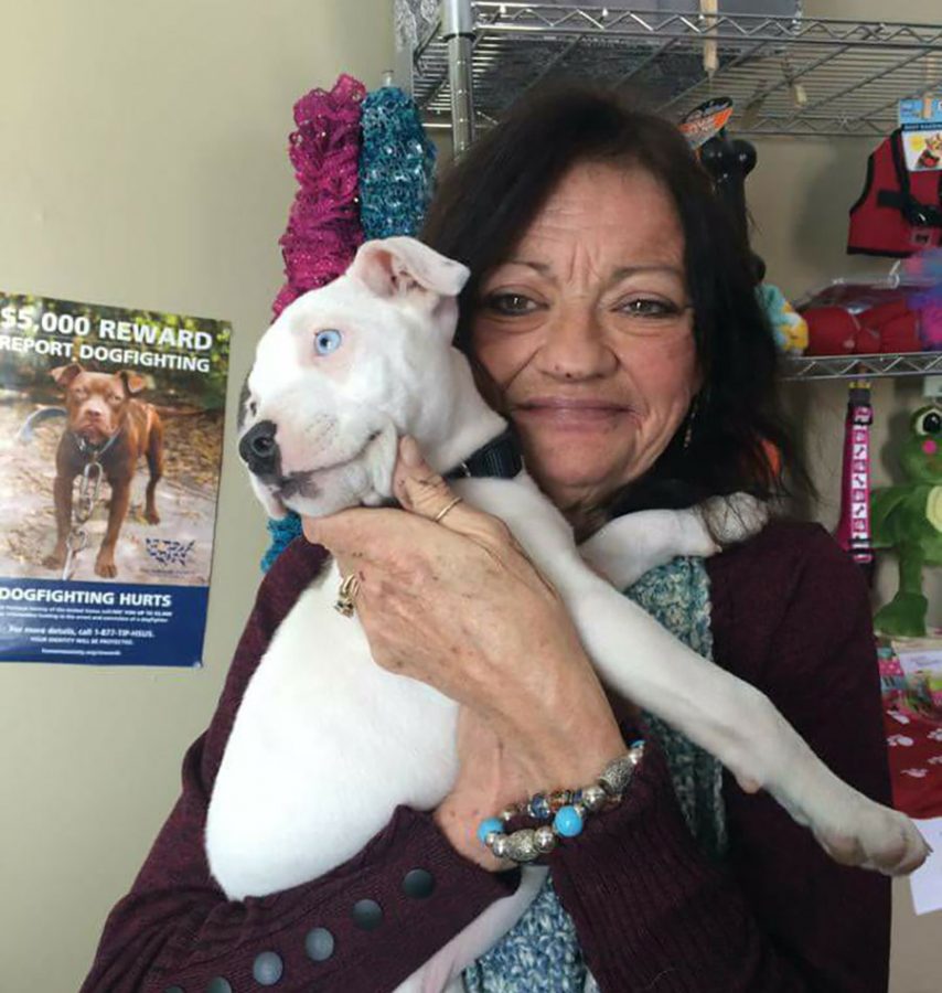 Dawn Schultz | Claws and Paws Rescue